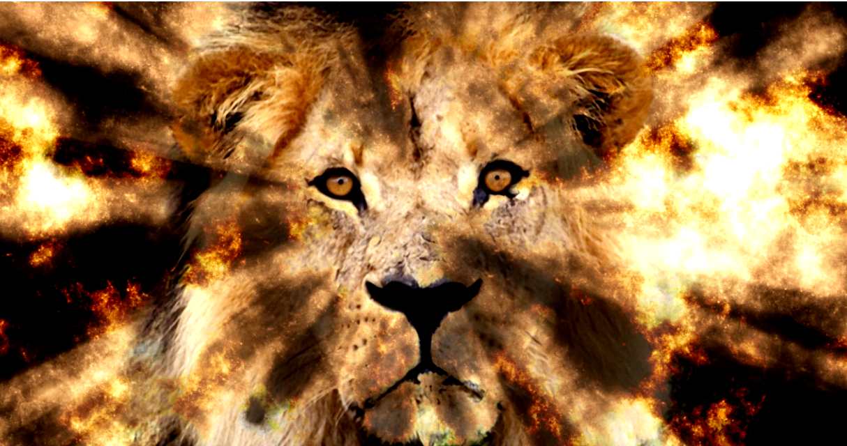 The City of Tearing Down – Jehovah's Watchman