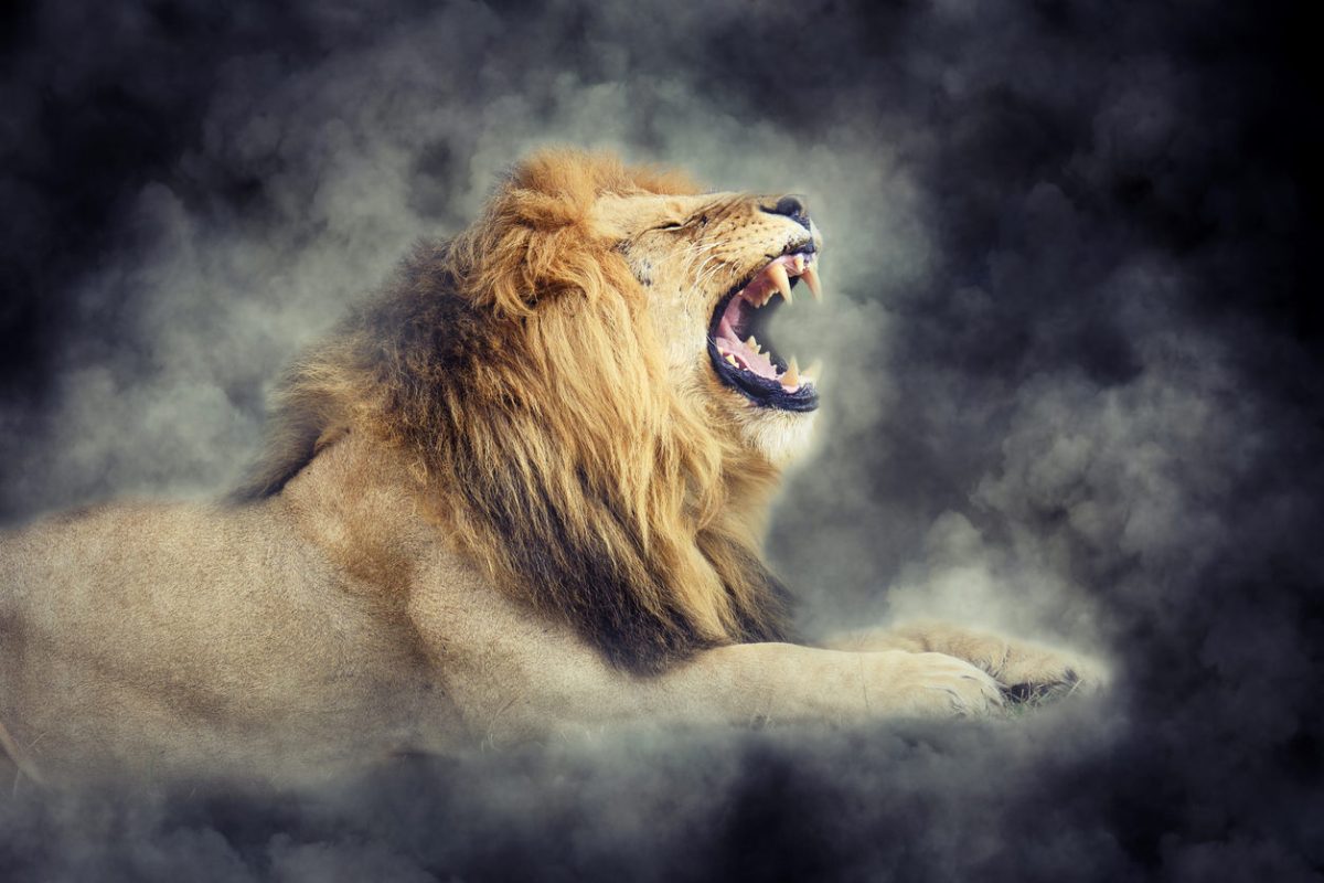 The Lion Has Roared! – Jehovah's Watchman