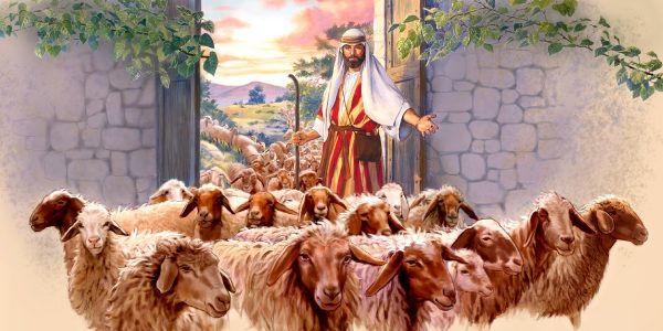 What about the little flock and the other sheep? – Jehovah's Watchman