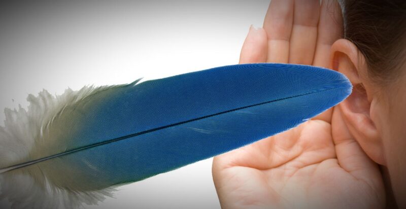 According to their desire to have their ears tickled – Jehovah's Watchman